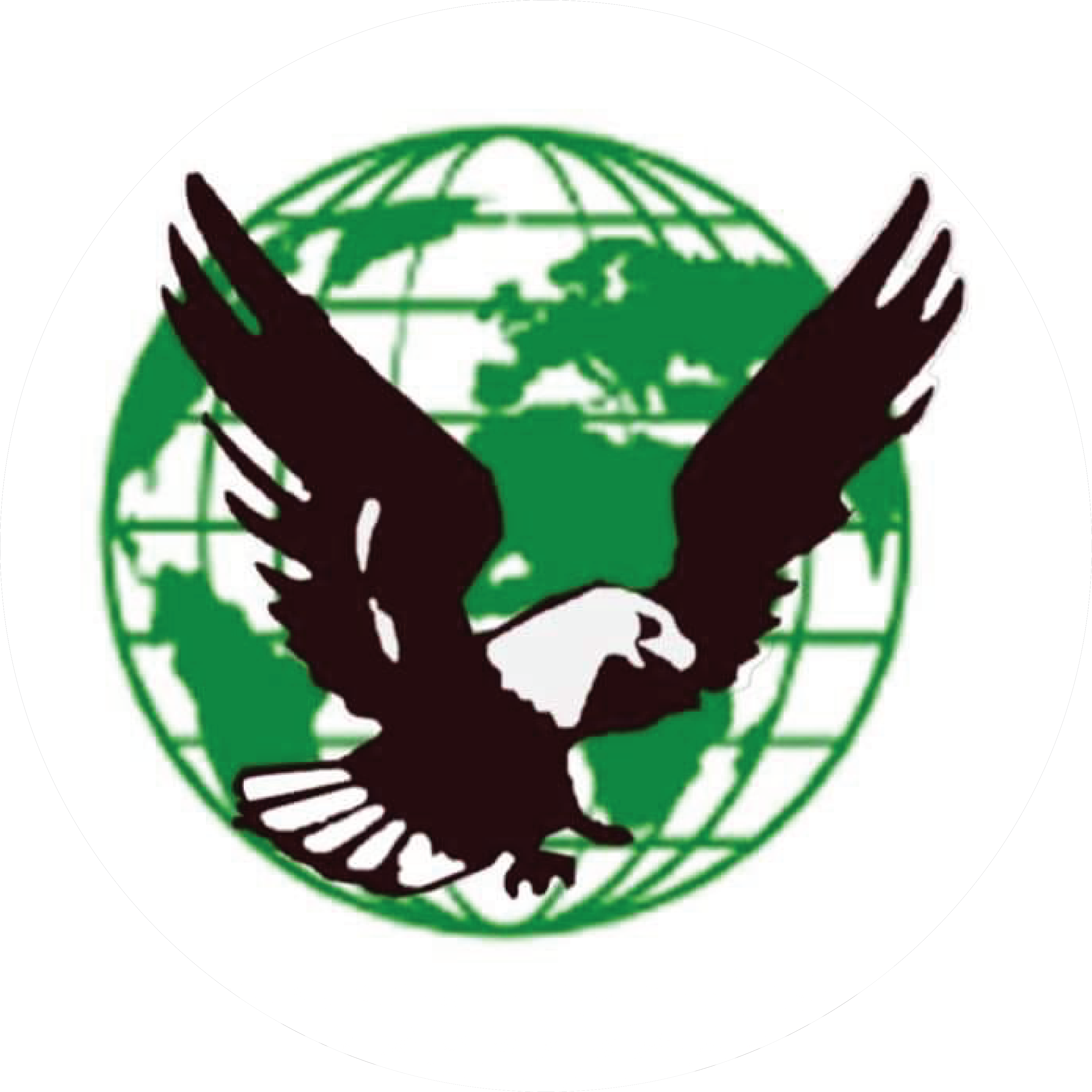 Mikiya International Company Limited